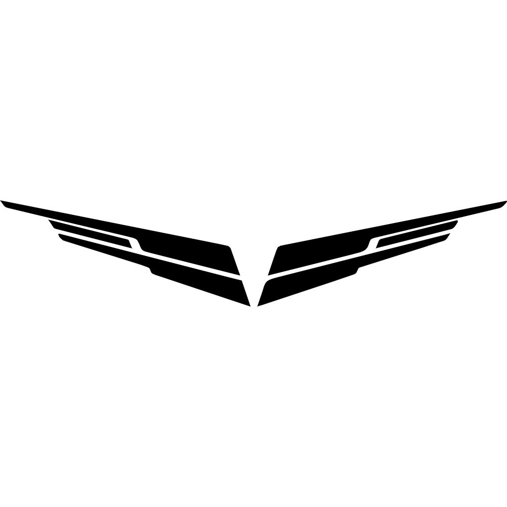 Cadillac Blackwing Decal